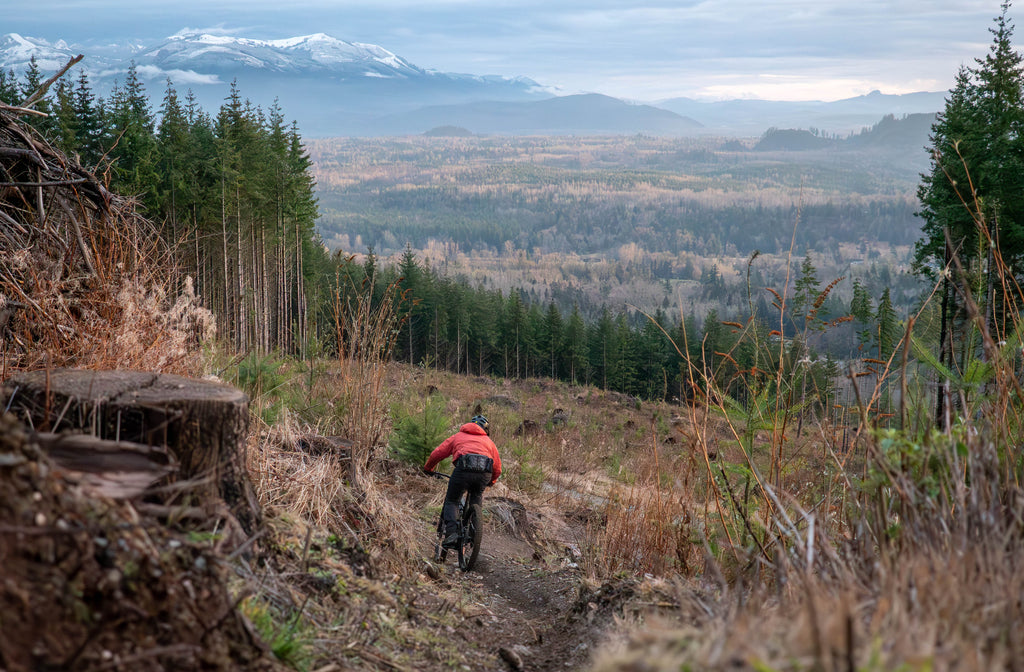 Fanatik Gift Guide // Bellingham's Best