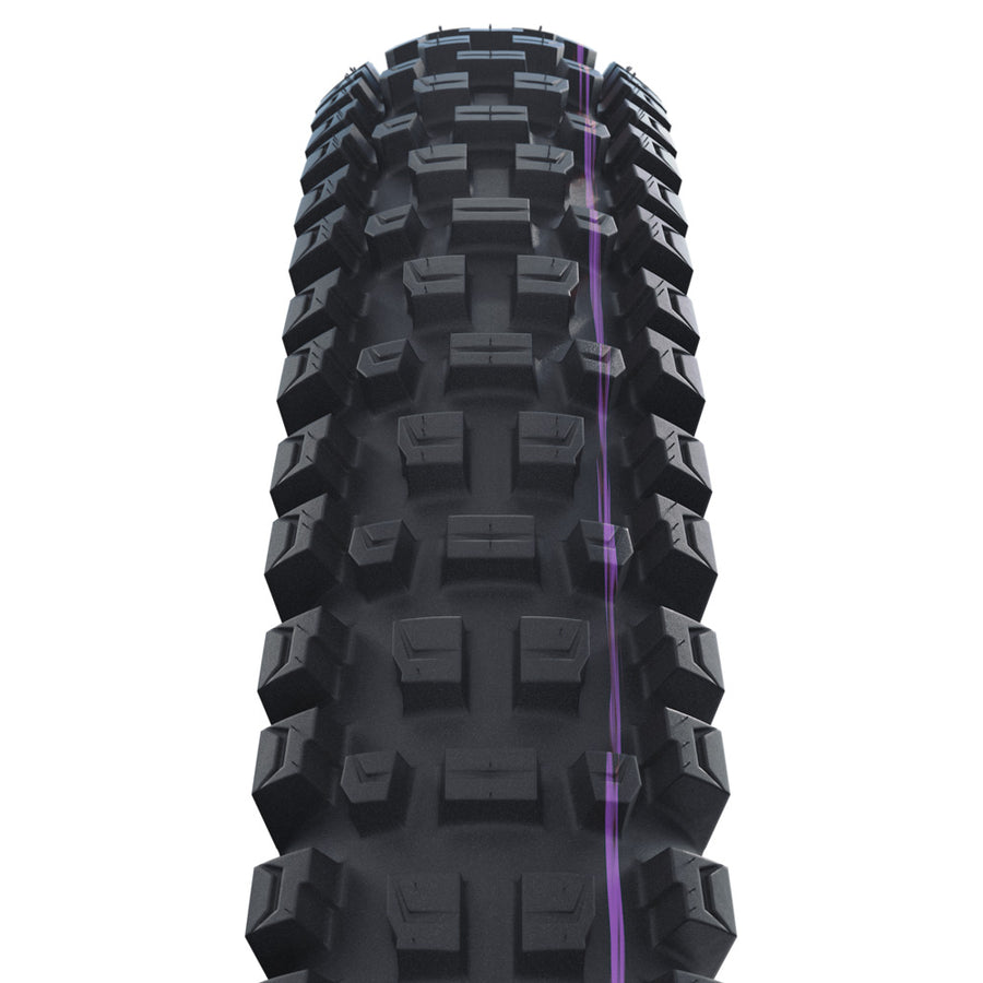 Schwalbe Albert 29" x 2.5" Radial Tire